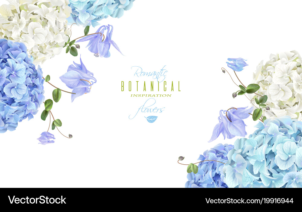 Hydrangea corner banner blue Royalty Free Vector Image