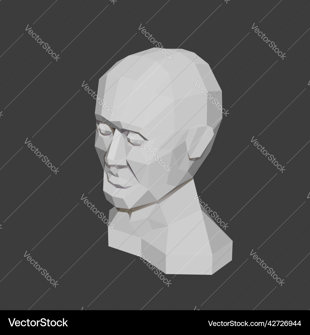 Partitioning of a mans head on plane shading Vector Image