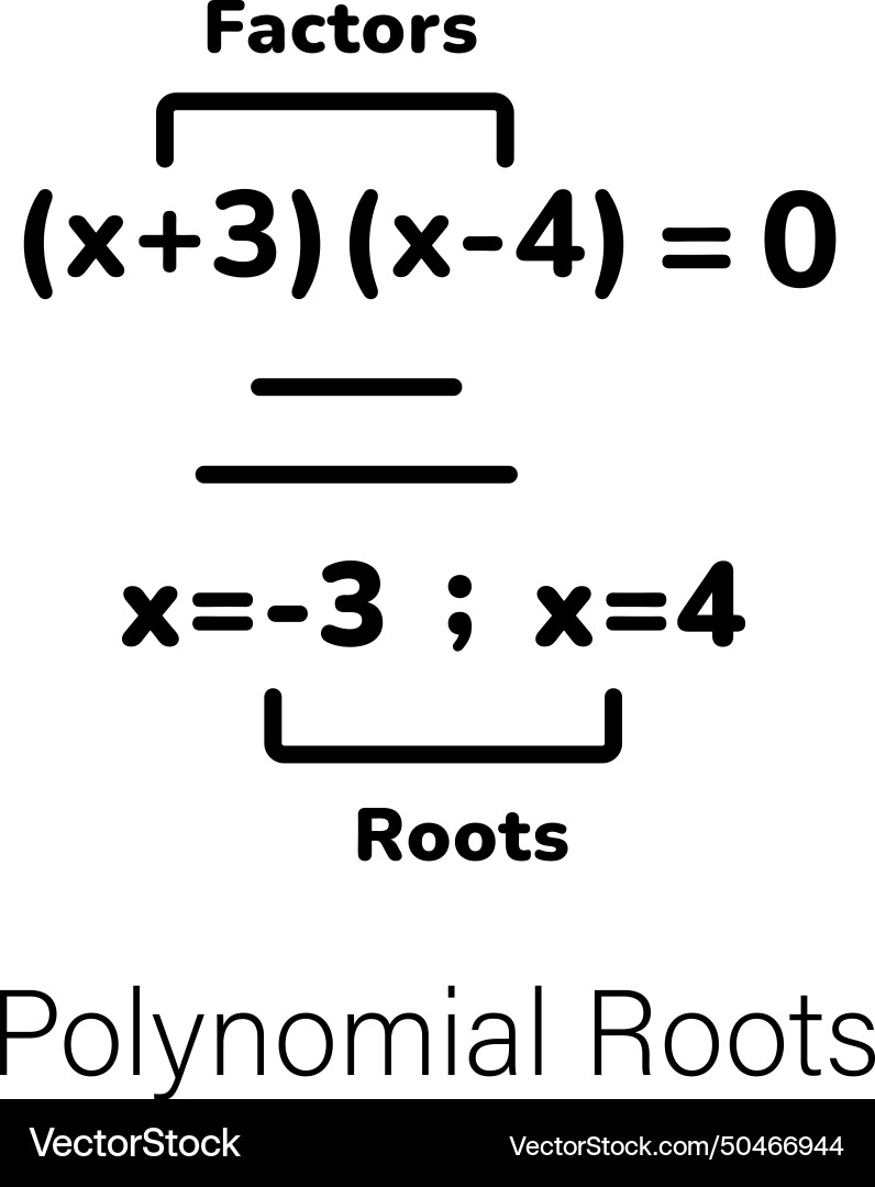 Polynomial roots Royalty Free Vector Image - VectorStock