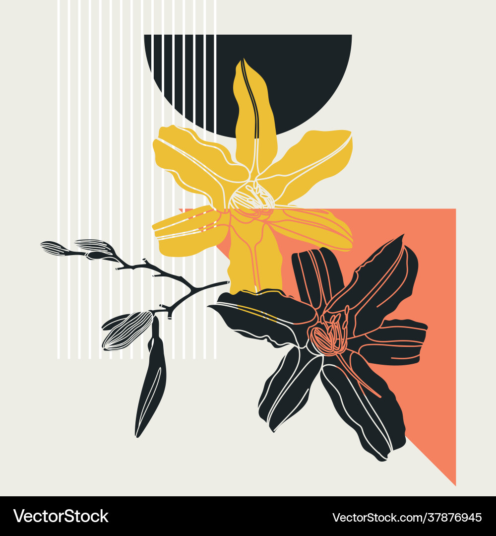 Collage style lily design trendy abstract with fl Vector Image
