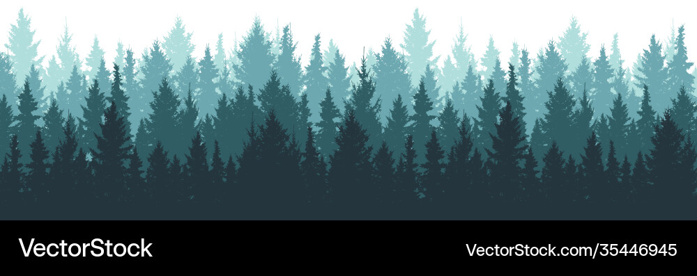 Forest Landscape - Pine & Spruce Royalty Free Vector