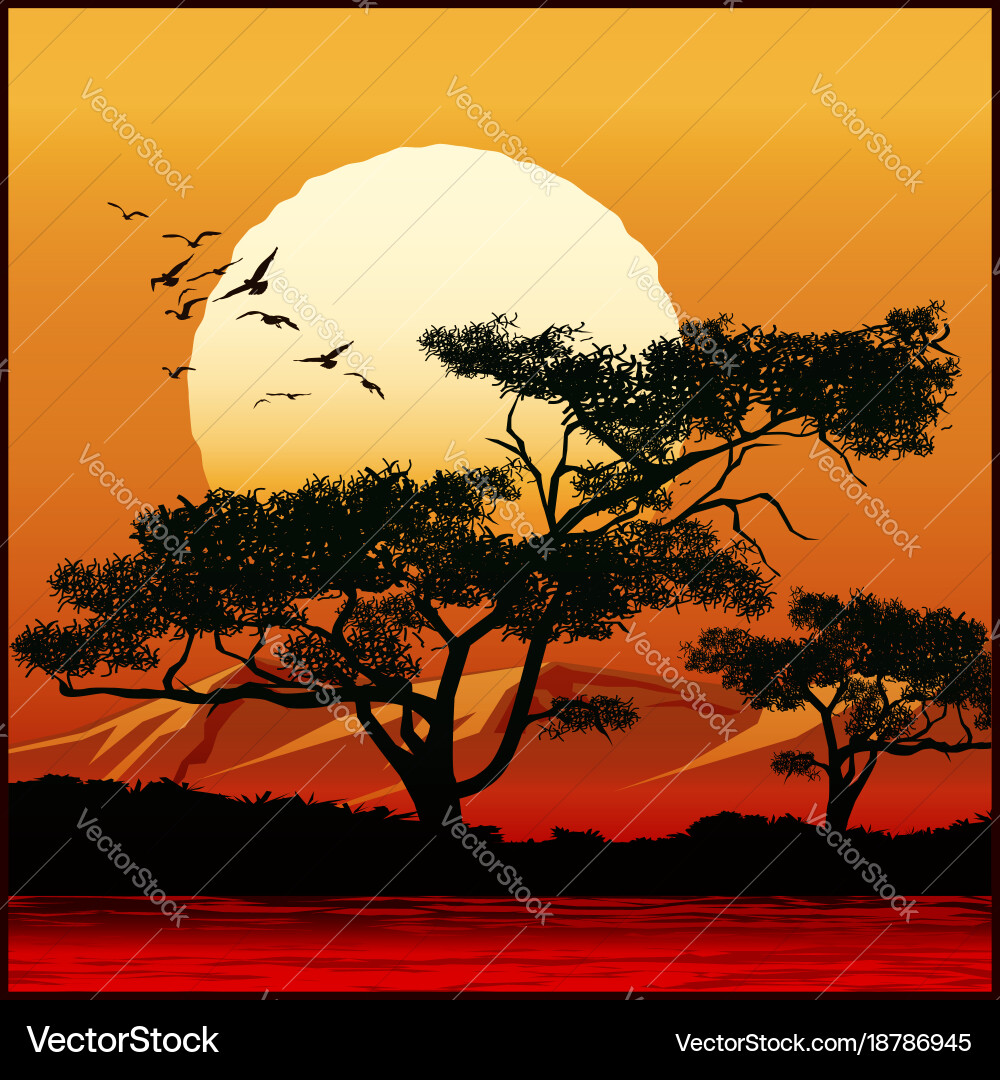 Tree at sunset Royalty Free Vector Image - VectorStock