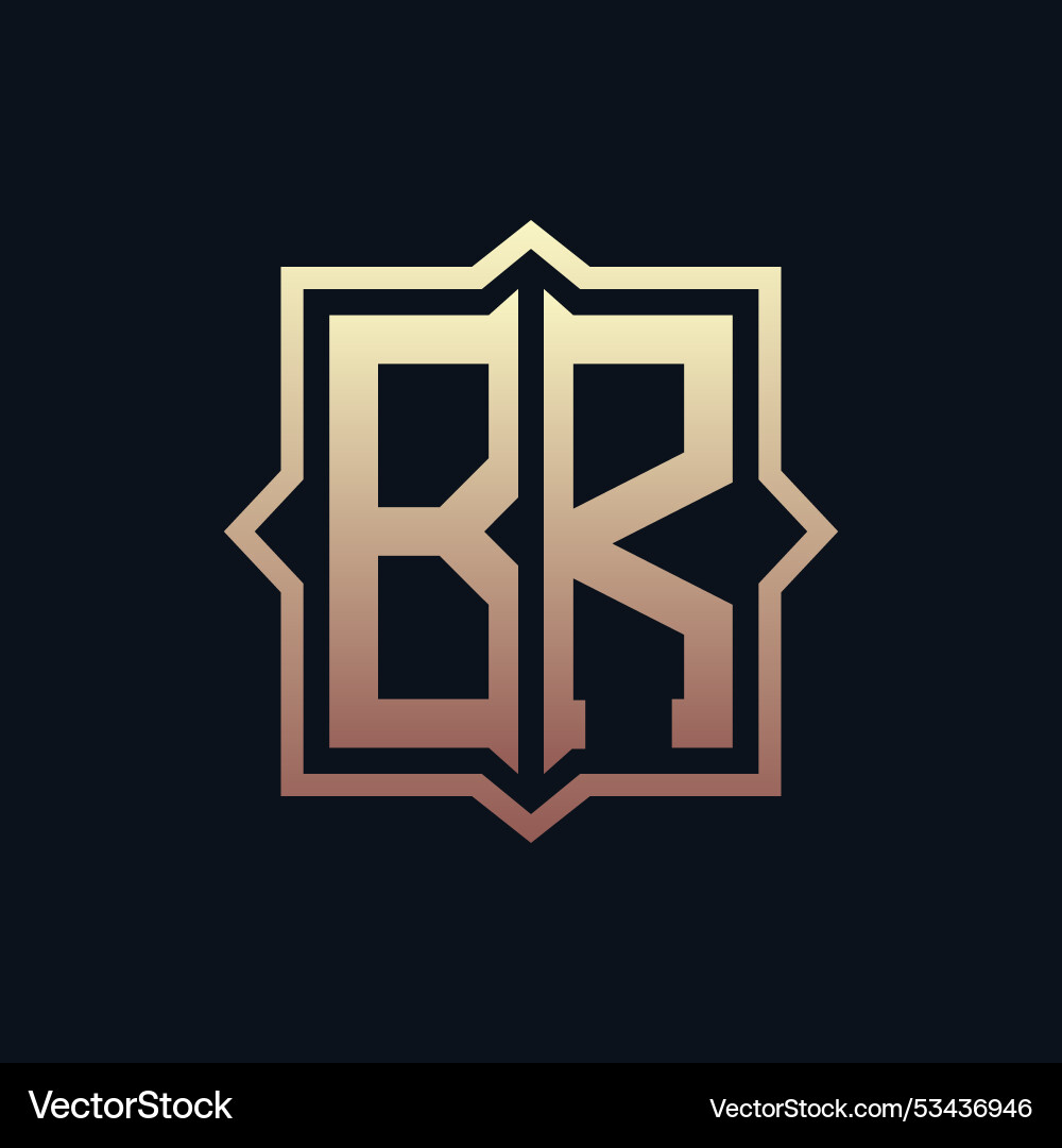 Luxury initial br monogram logo design elegant Vector Image