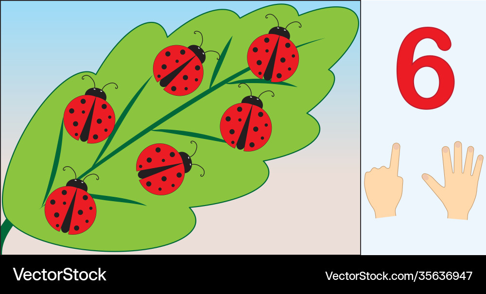 Ladybugs number 6 six learning counting Royalty Free Vector