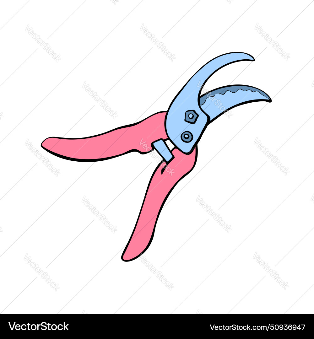 Pruner pruning shears gardening equipment Vector Image