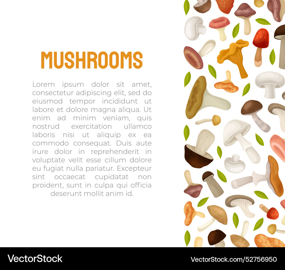 Mushroom banner design with forest plant stem Vector Image