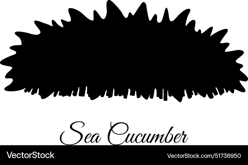 Sea cucumber silhouette isolated Royalty Free Vector Image