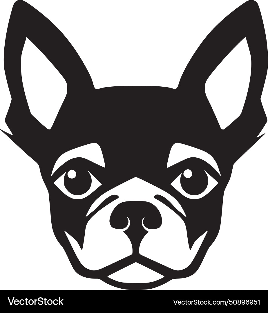 Boston terrier - minimalist and flat logo Vector Image