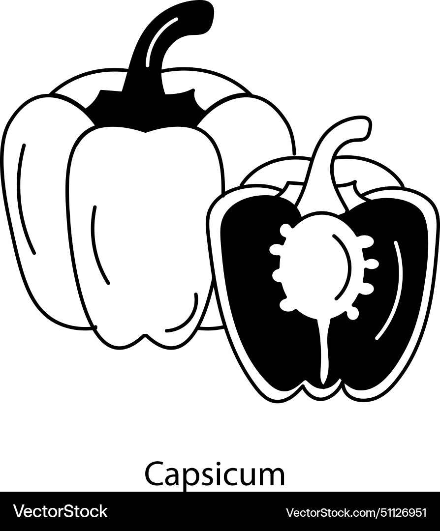 Capsicum Royalty Free Vector Image - VectorStock