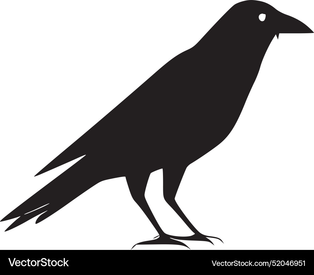 Crow - black and white Royalty Free Vector Image