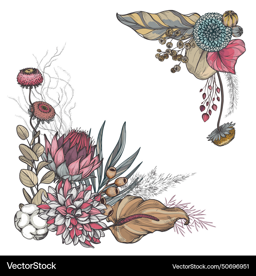 Frame with dried flowers leaves Royalty Free Vector Image