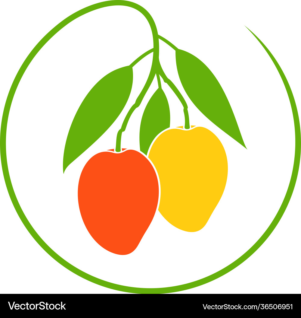 Mango Royalty Free Vector Image - VectorStock