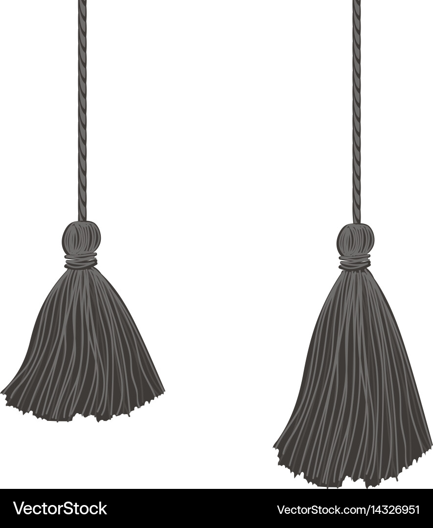 Set of two black hanging decorative tassels Vector Image