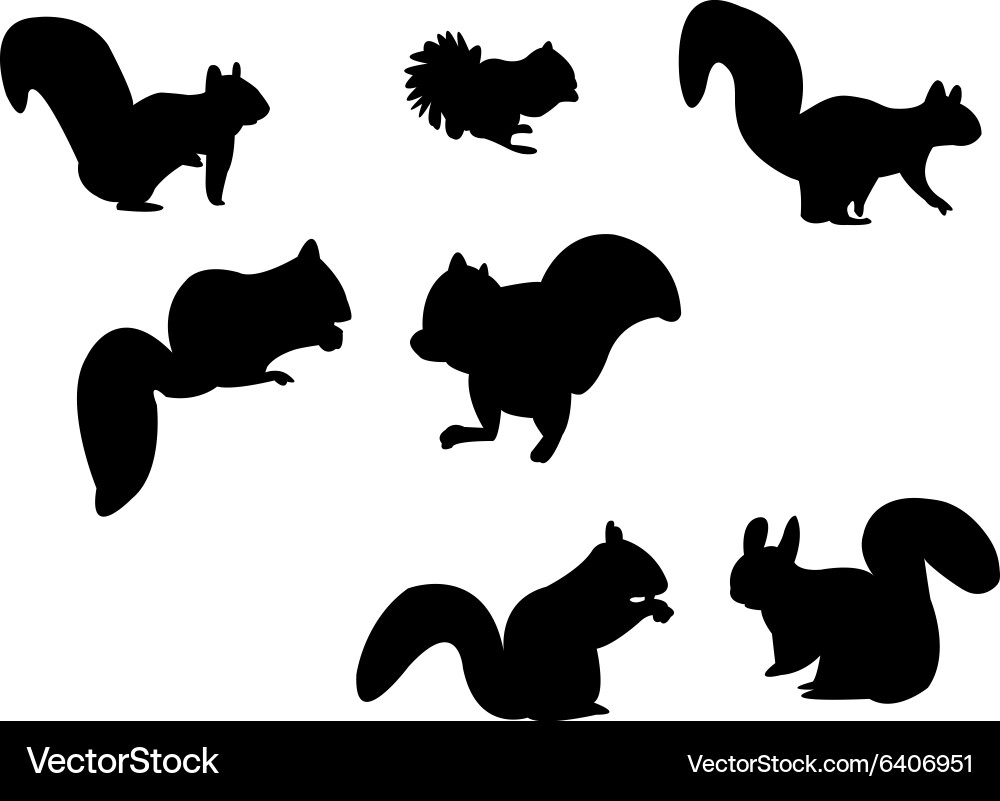 Squirrel Royalty Free Vector Image - VectorStock
