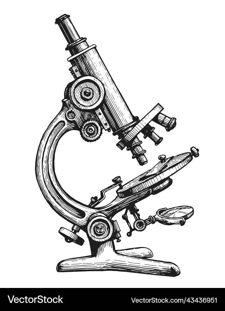 Vintage Microscope Sketch Royalty Free Vector Image
