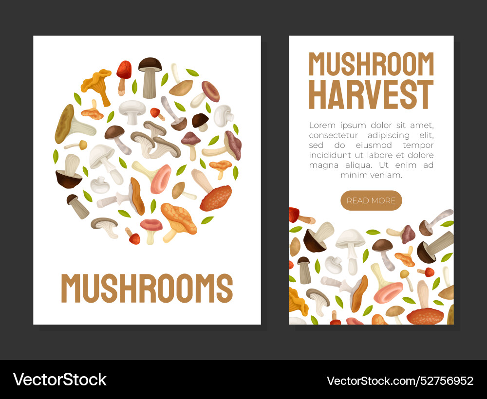 Mushroom banner design with forest plant stem Vector Image