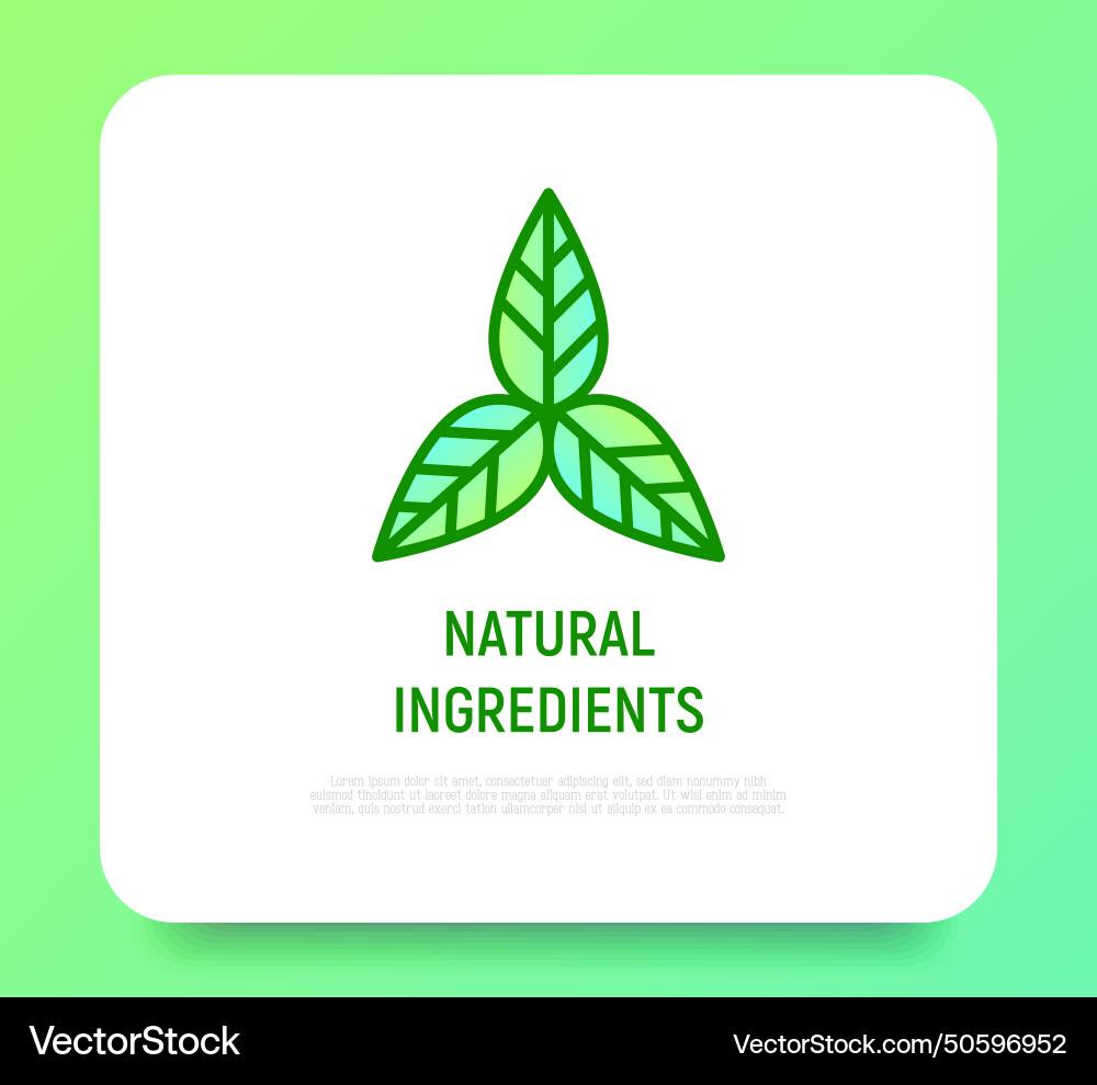 Natural ingredients symbol thin line icon Vector Image