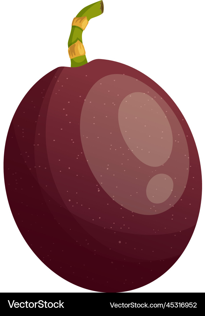 Passion fruit cartoon Royalty Free Vector Image