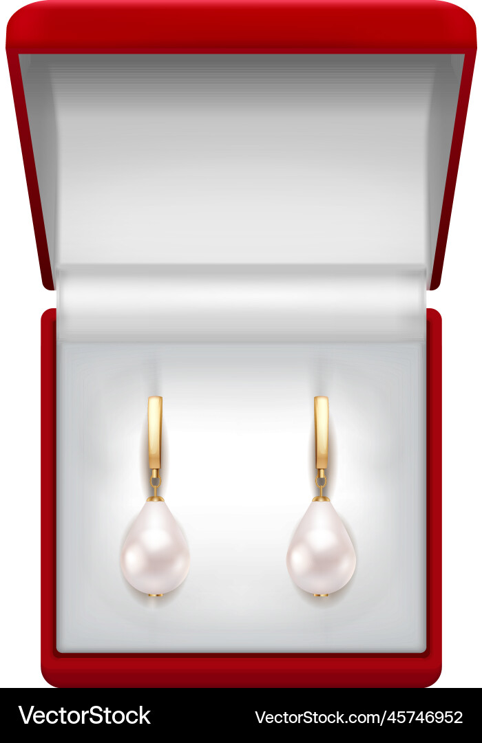 Square ring case composition Royalty Free Vector Image