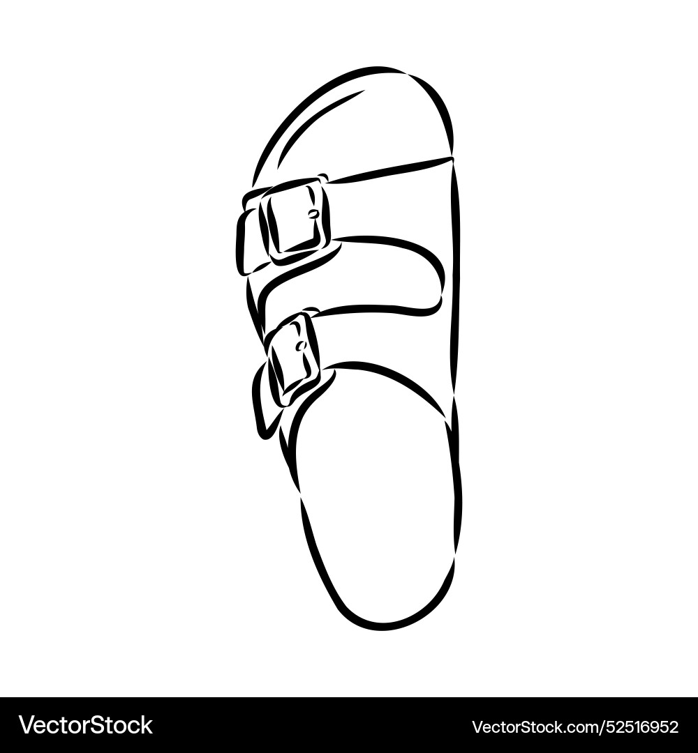 Strap sandal outline drawing Royalty Free Vector Image