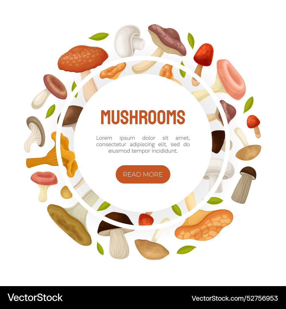 Mushroom banner design with forest plant stem Vector Image