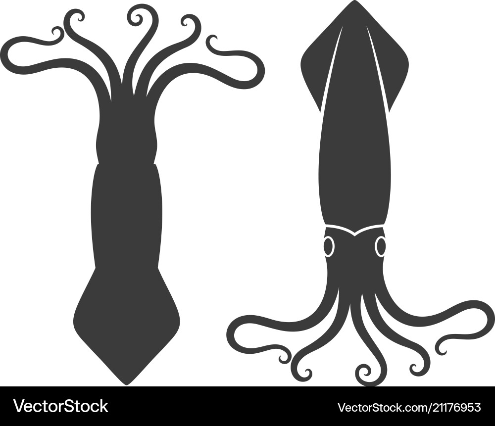 Squid Royalty Free Vector Image - VectorStock