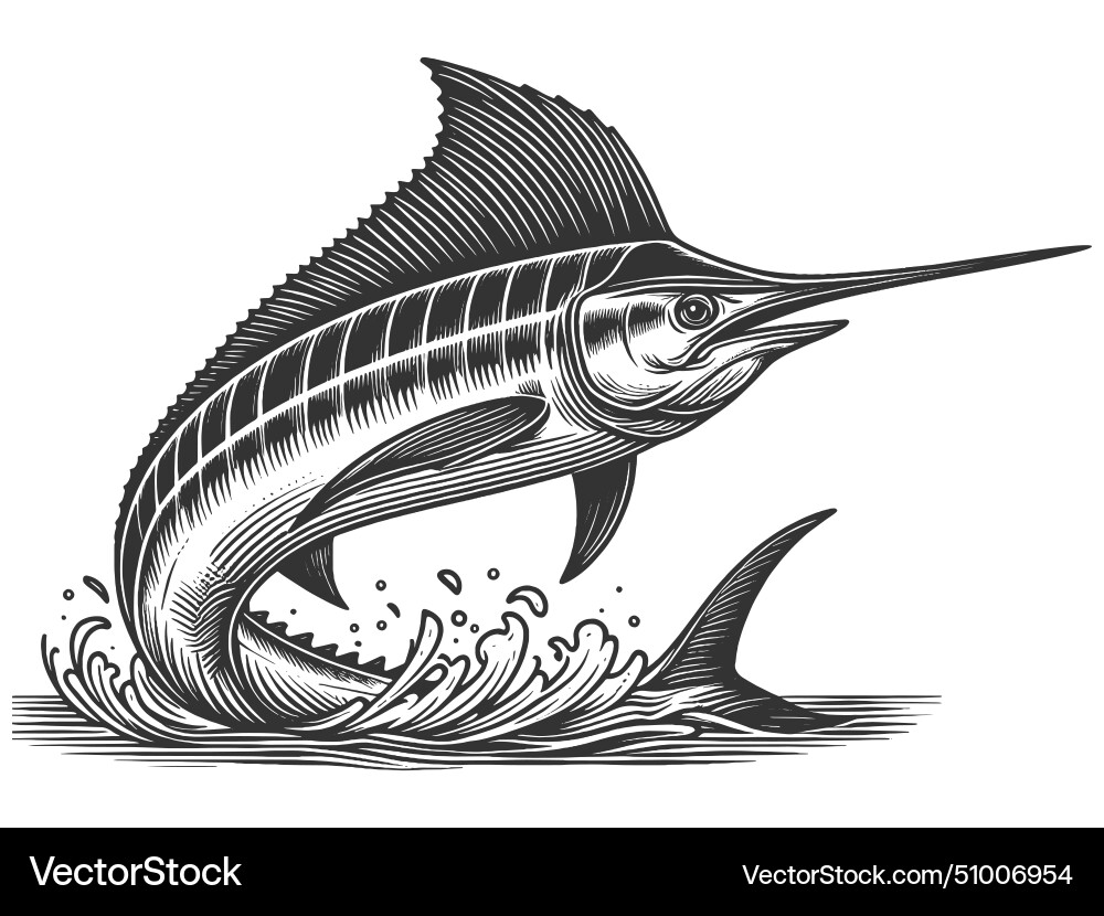 Sailfish blue marlin engraving Royalty Free Vector Image
