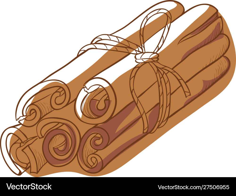 Cinnamon stick icon natural ingredient Royalty Free Vector