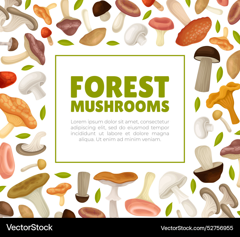 Mushroom banner design with forest plant stem Vector Image