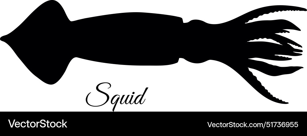 Squid silhouette isolated Royalty Free Vector Image