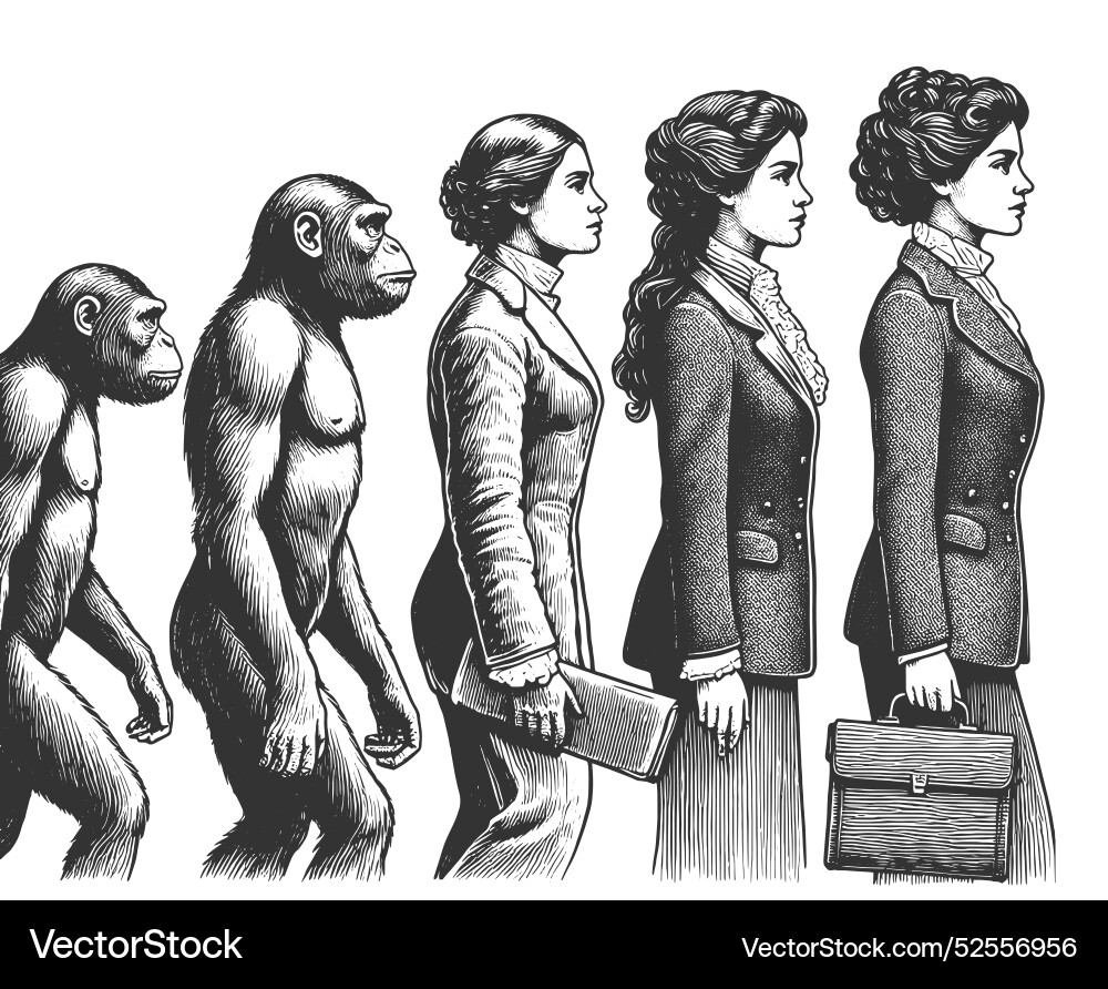 Evolution of woman from primate to professional Vector Image