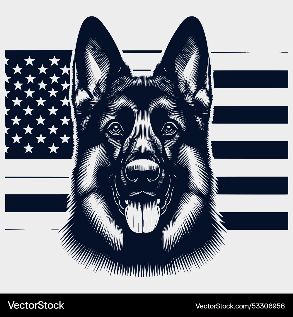 German shepherd dog with american flaggerman shep Vector Image