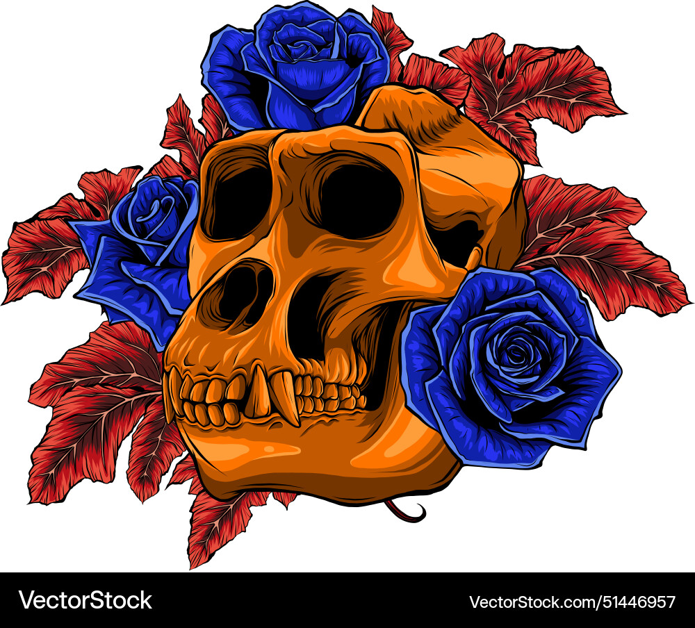 Colored draw of monkey skull Royalty Free Vector Image