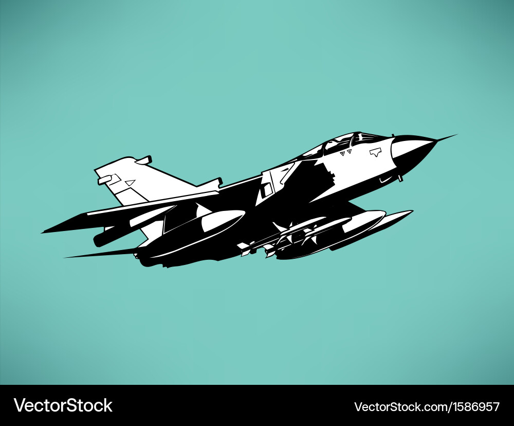 Modern Jet Fighter Royalty Free Vector Image - VectorStock