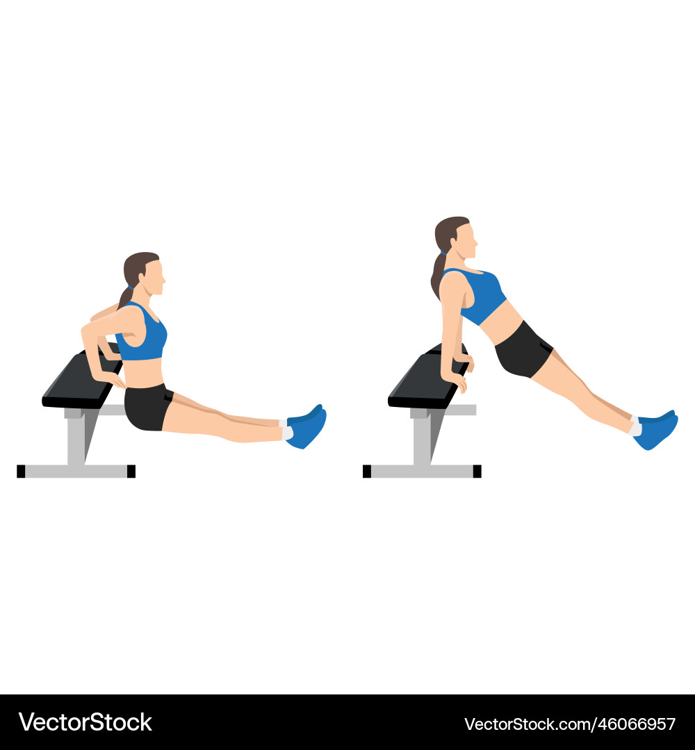 Woman doing bench tricep dips exercise Royalty Free Vector