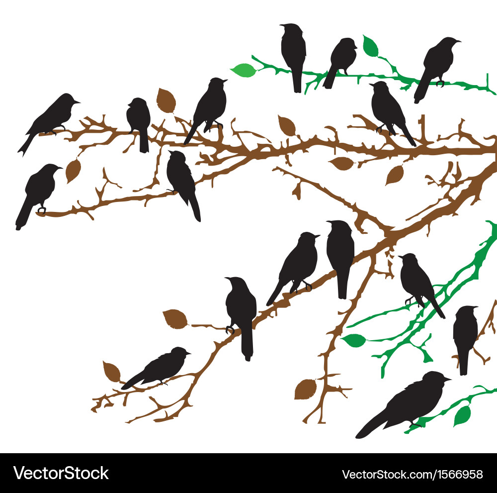 Branches birds Royalty Free Vector Image - VectorStock