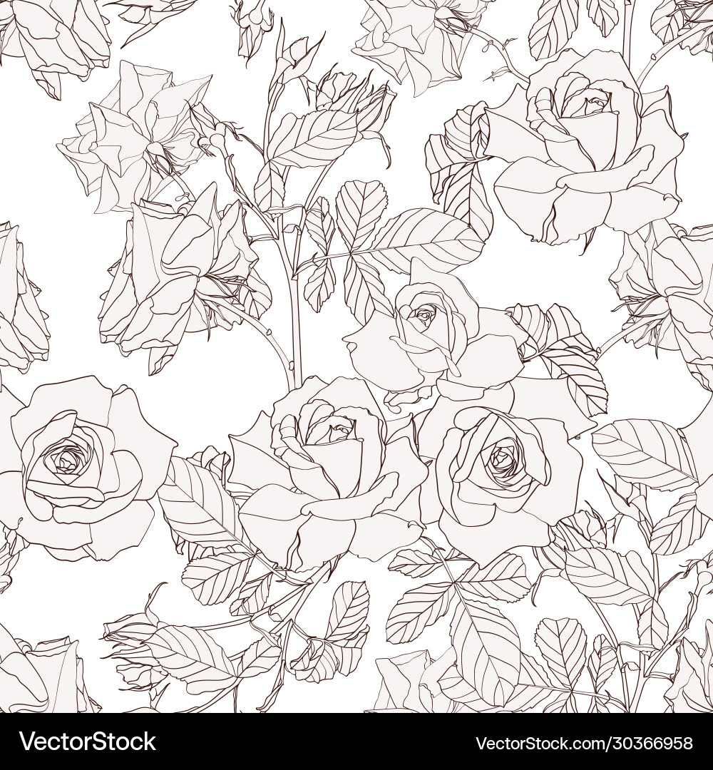 Elegant seamless pattern with hand drawn line rose