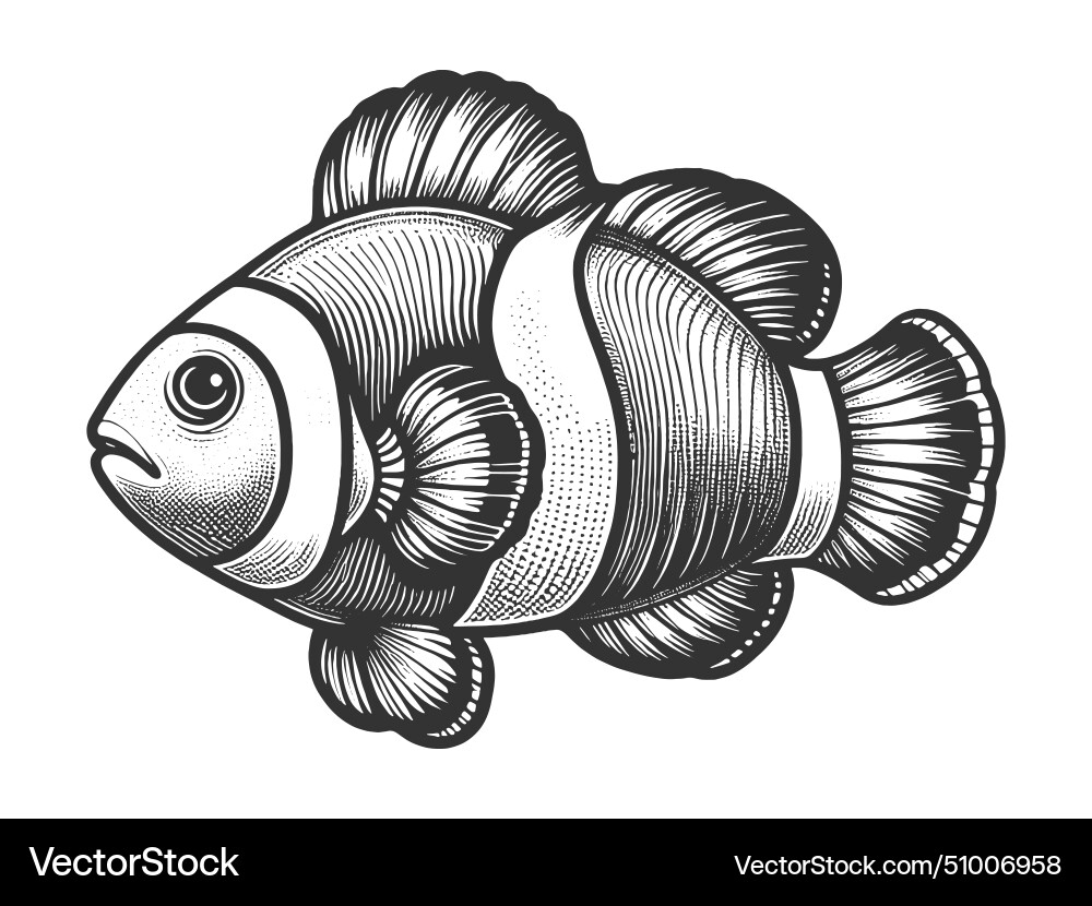 Tropical clown fish engraving Royalty Free Vector Image