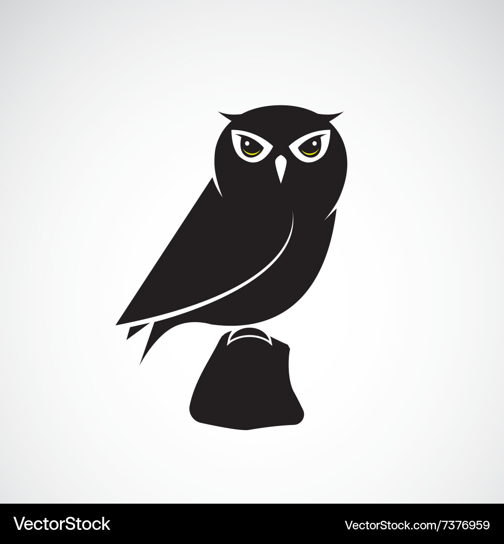Owl Royalty Free Vector Image - VectorStock