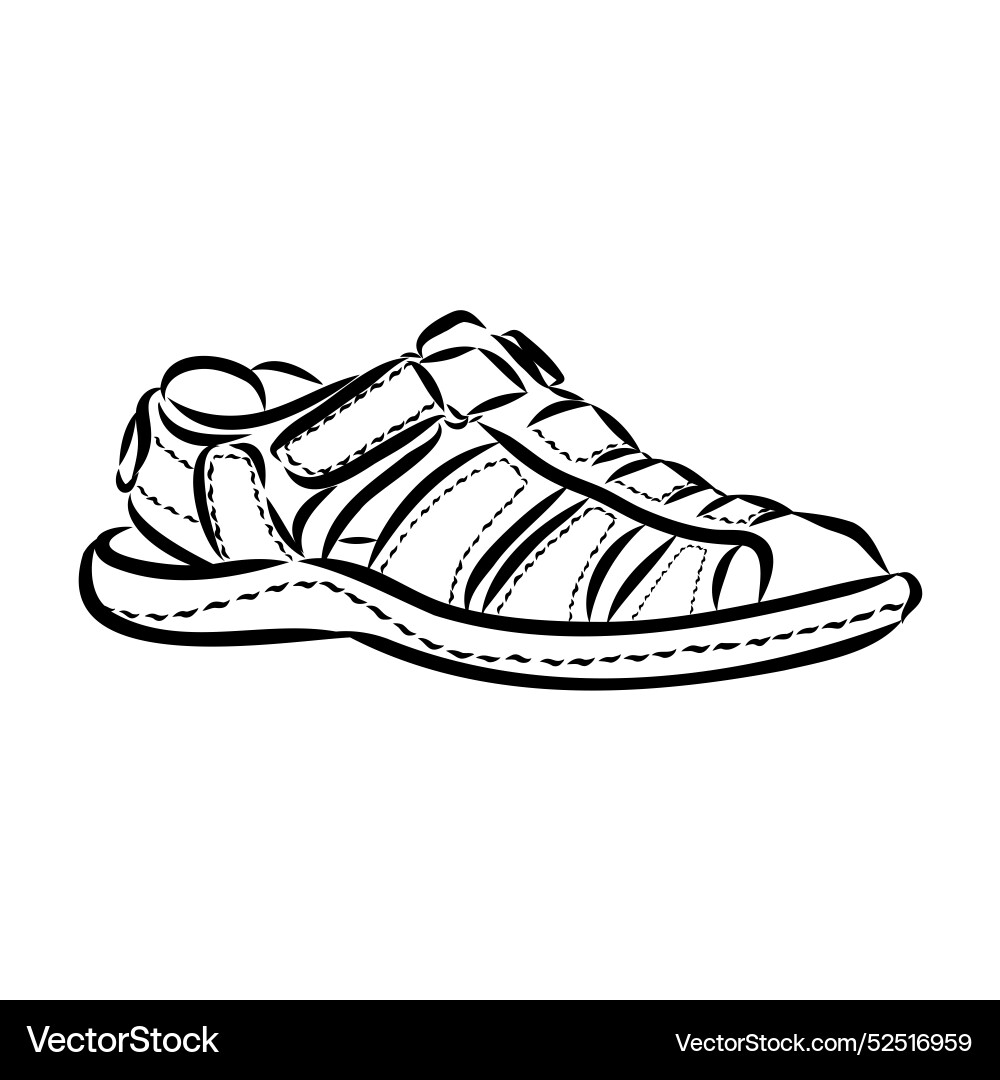 Strap sandal outline drawing Royalty Free Vector Image
