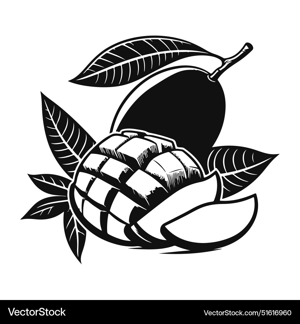 Minimalist mango silhouette in black and white Vector Image