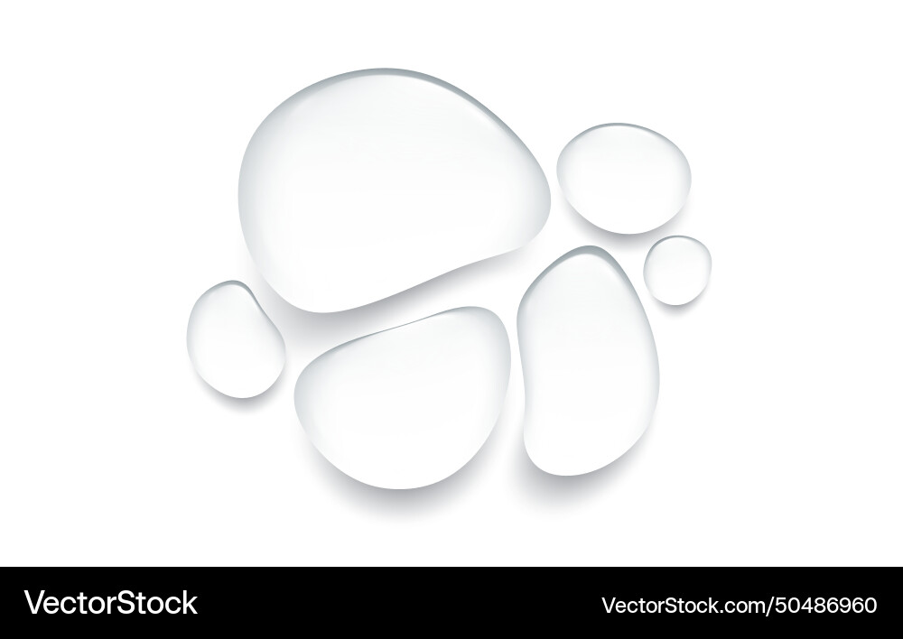 Water droplet transparent liquid bubble purity Vector Image