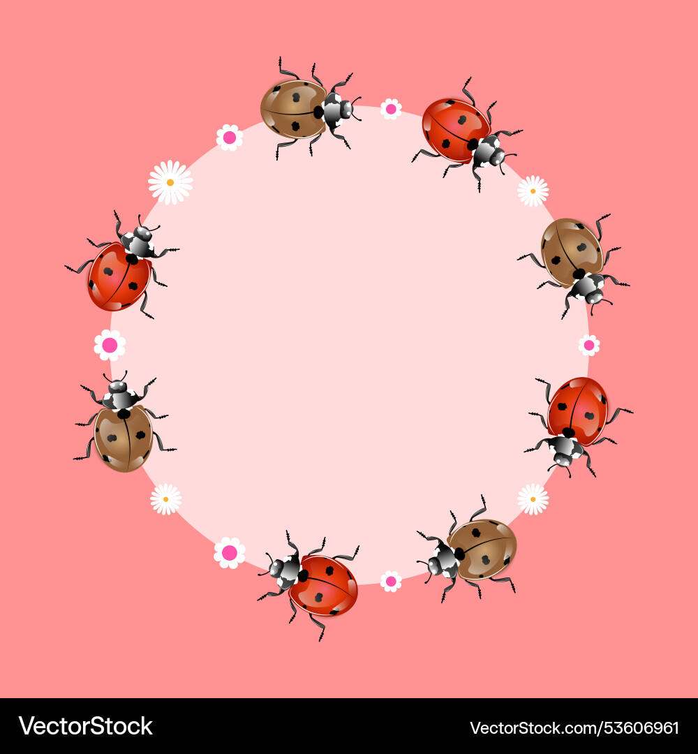 Cute ladybug in a circle Royalty Free Vector Image