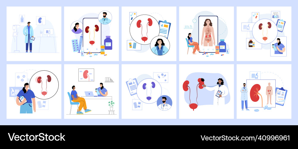 Kidney medical set Royalty Free Vector Image - VectorStock