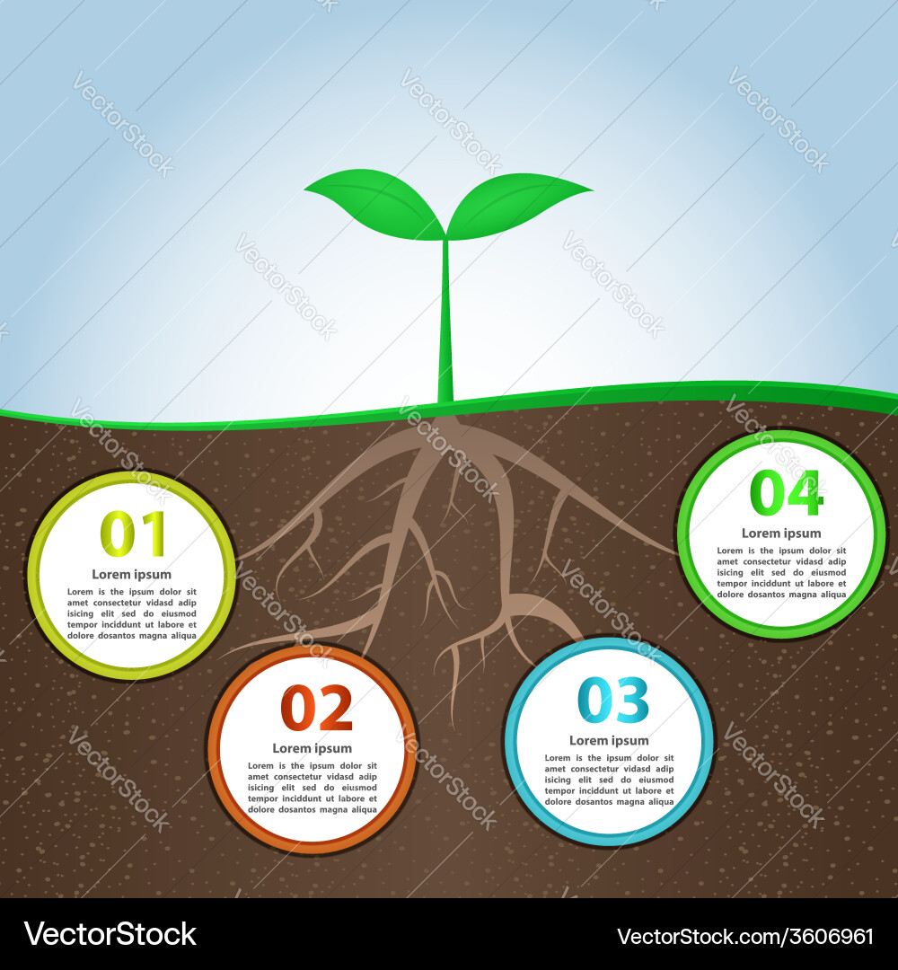 Plant and root infographic background design templ