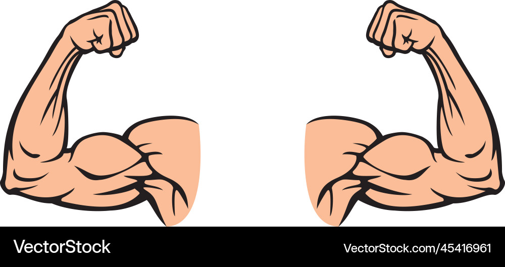 Two bicep muscle flexing Royalty Free Vector Image