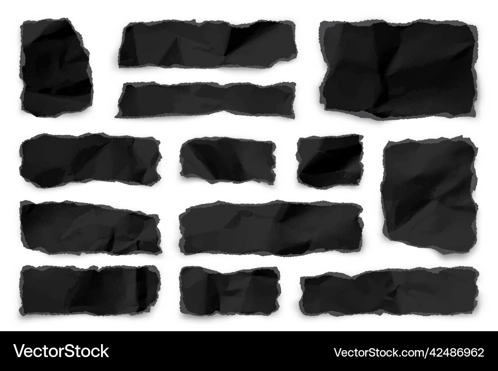 Black ripped paper strips on white background Vector Image