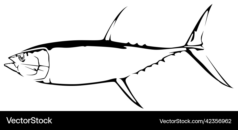 Drawing of tuna fish Royalty Free Vector Image