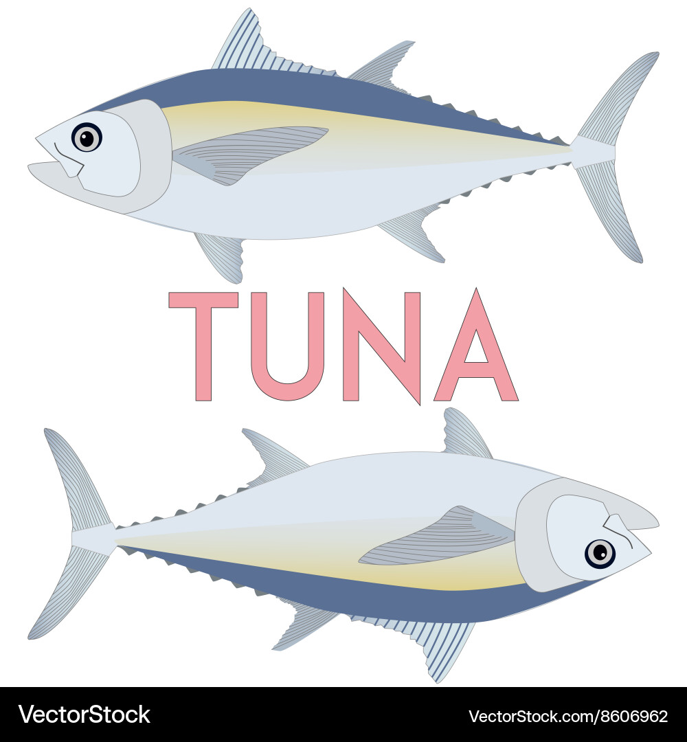 Tuna fish cool Royalty Free Vector Image - VectorStock