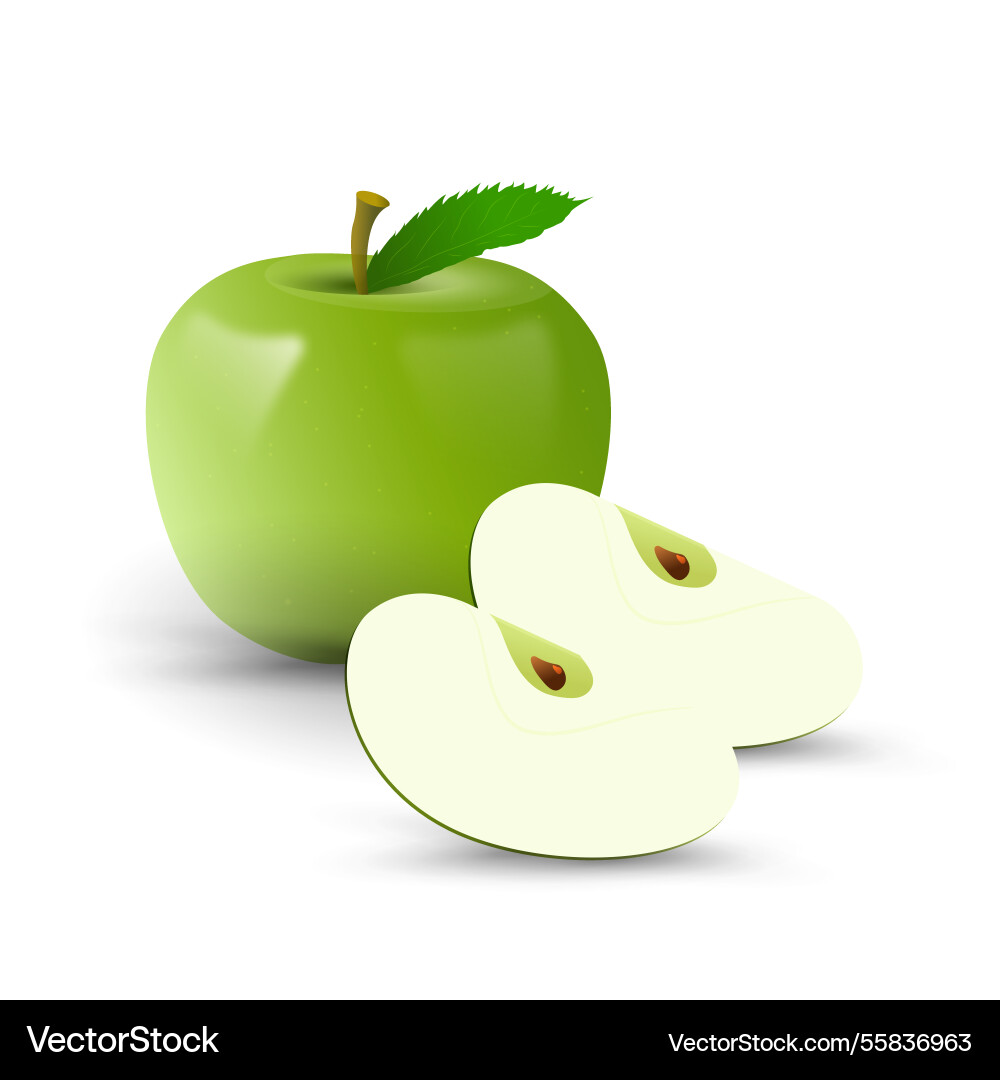 A fresh green apple stands tall accompanied – Free Vector | VectorStock